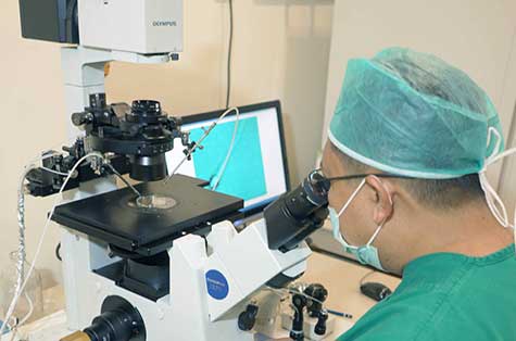 Morula IVF Indonesia - Diskon s.d 20% + Cicilan 0% s.d 6 bulan & Diskon ...